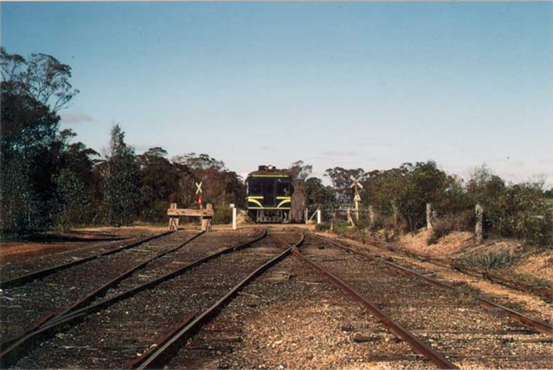 Pyalong Trestle Bridges, Vic