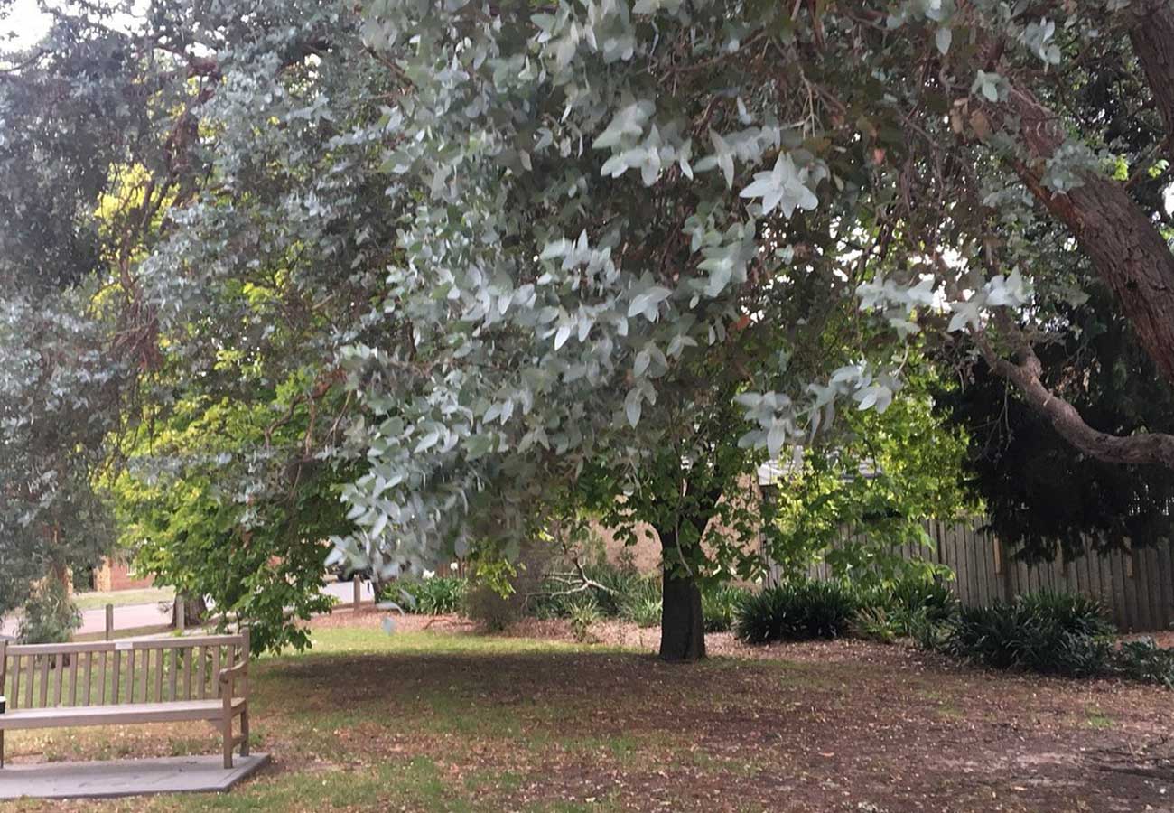 Melbourne By Rail: Along the Sandringham Line